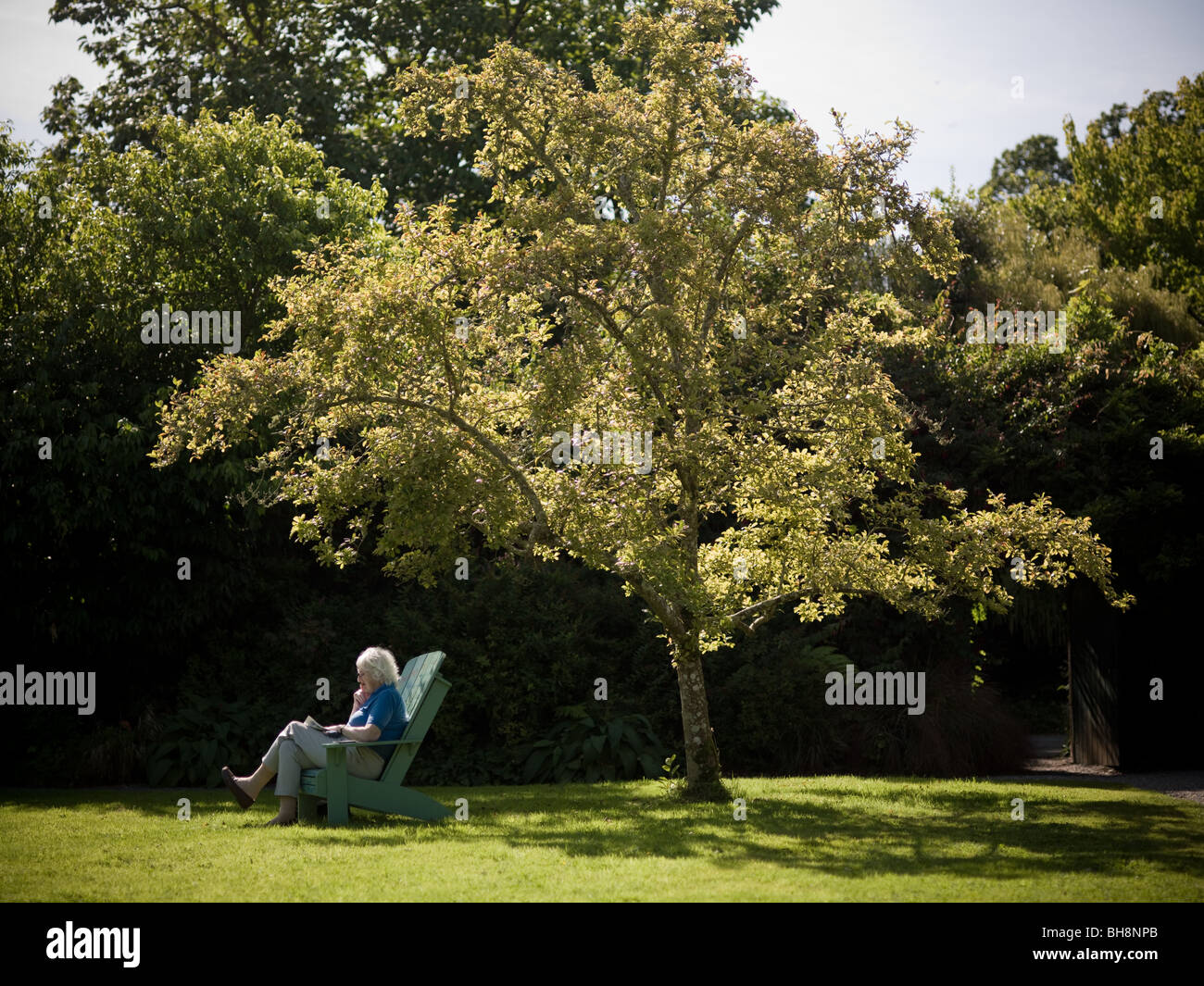 Elderly lady under tree on wooden chair hi-res stock photography and ...