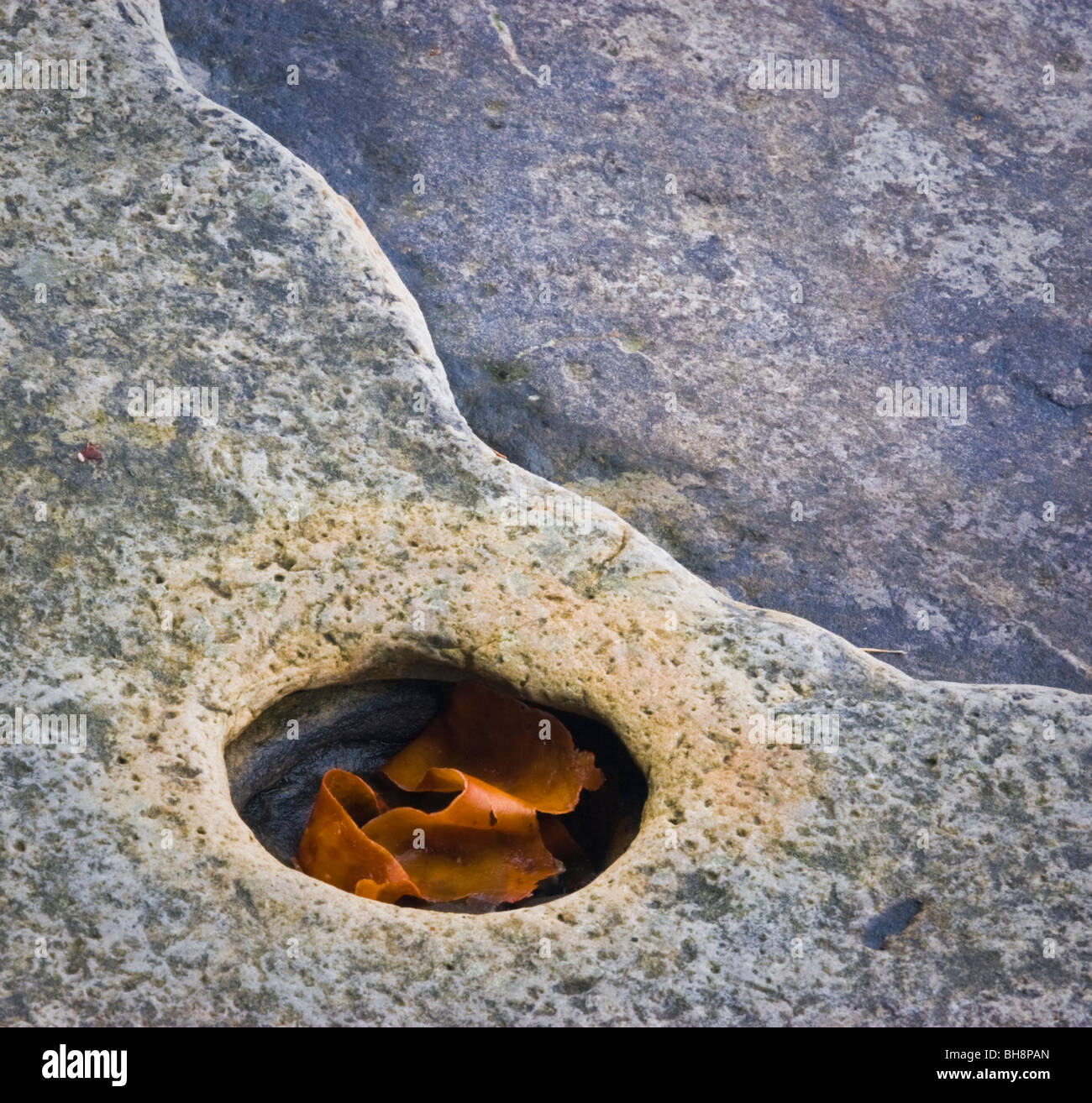 Limestone slab hi-res stock photography and images - Alamy