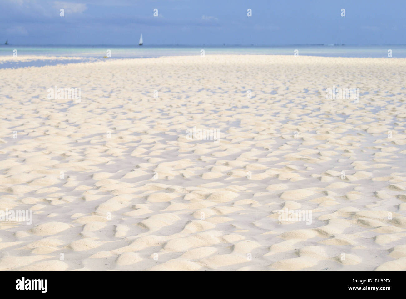 Spit wood hi-res stock photography and images - Alamy