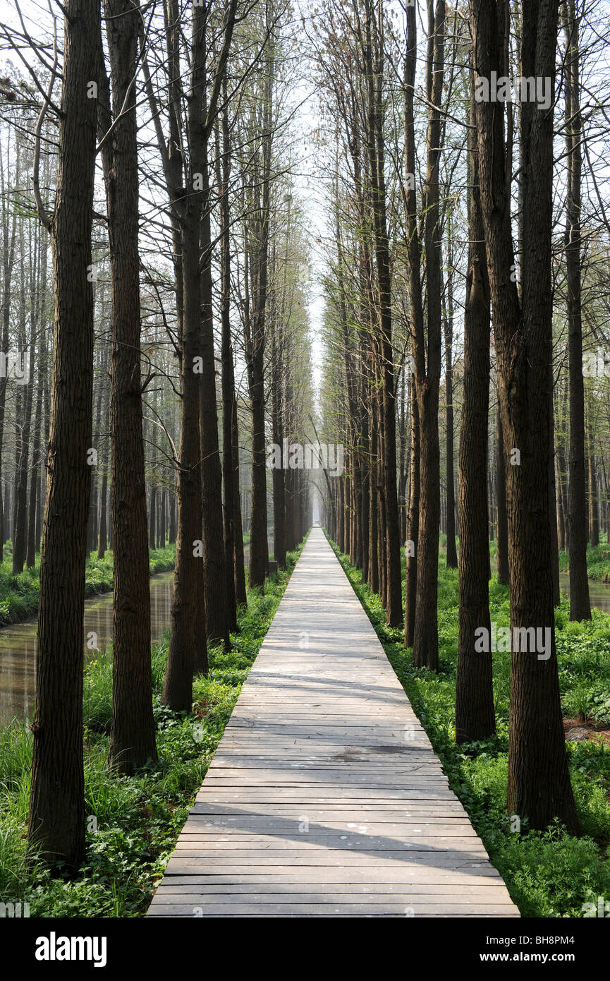 Large lake in a forrest hi-res stock photography and images - Alamy