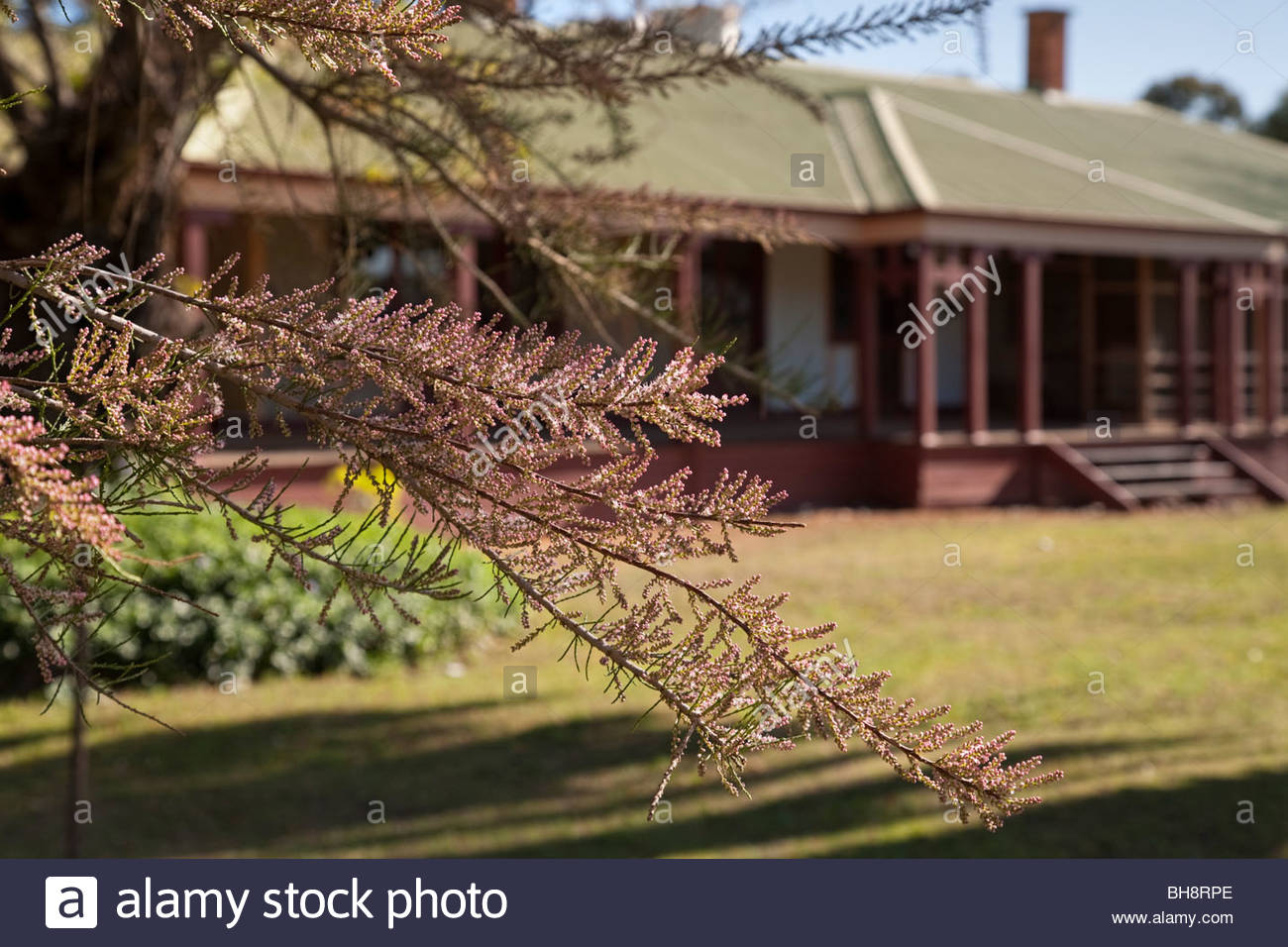 Outback Homestead Australia Stock Photos & Outback Homestead Australia ...