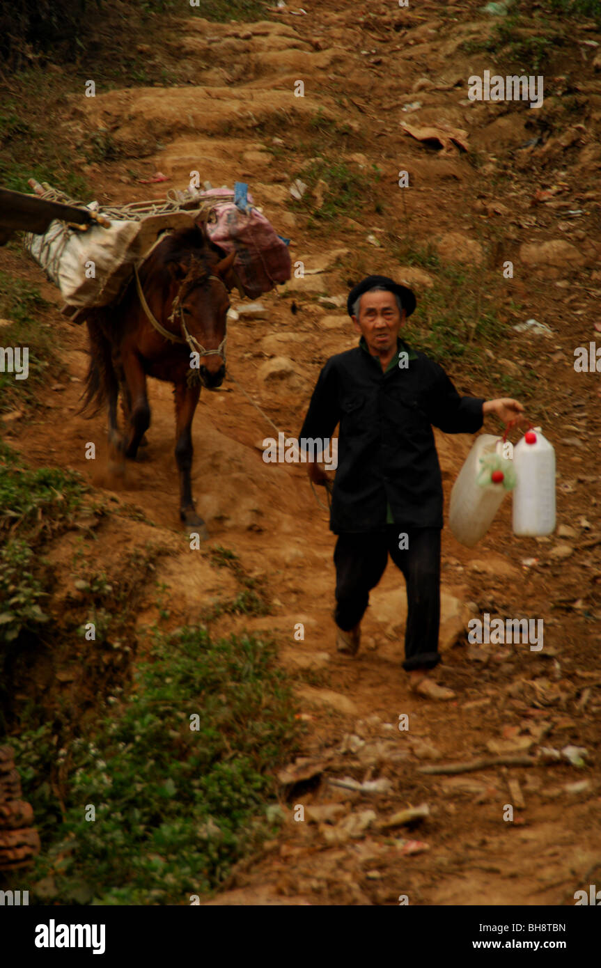dzao old man with his mule at coc ly market , near sapa , north west ...