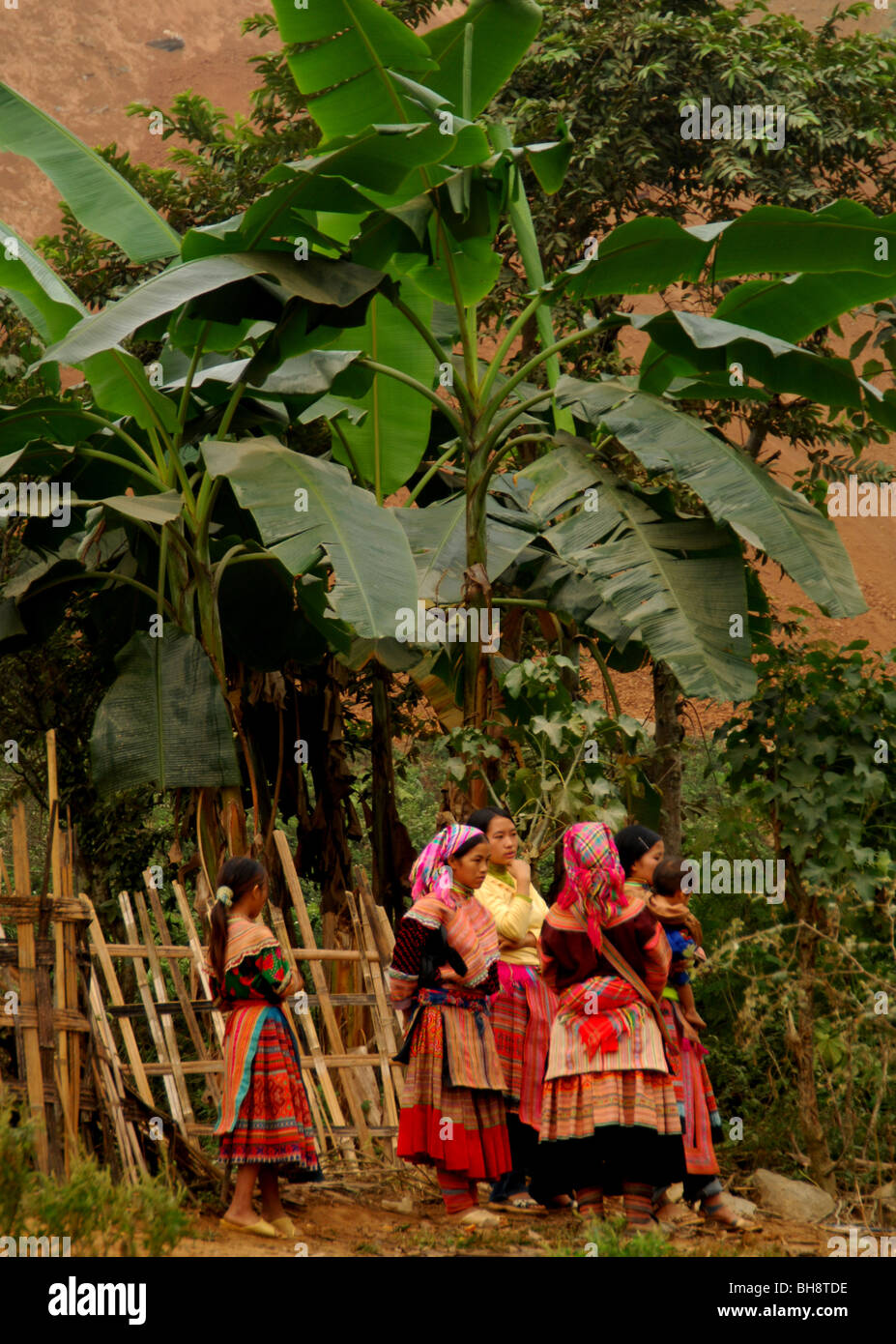 flower hmong hilltribe minority at coc ly market , north west vietnam ...