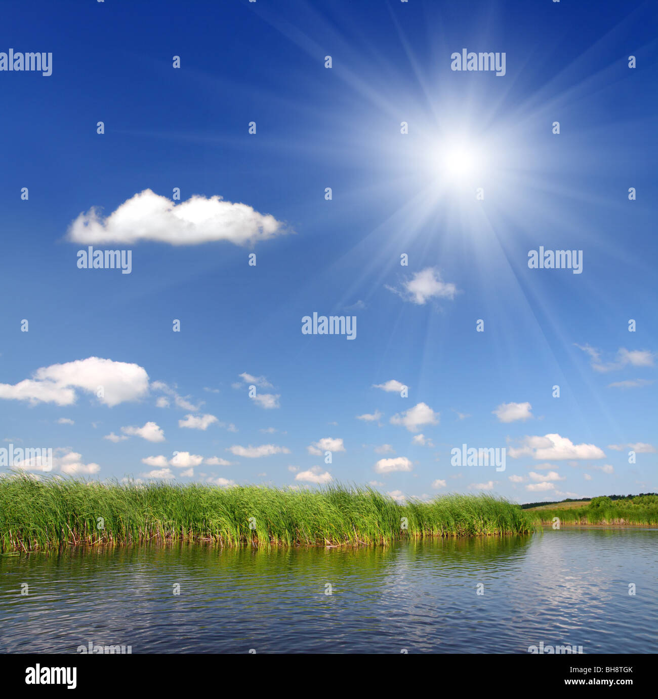 summer pond under blue sky background Stock Photo - Alamy