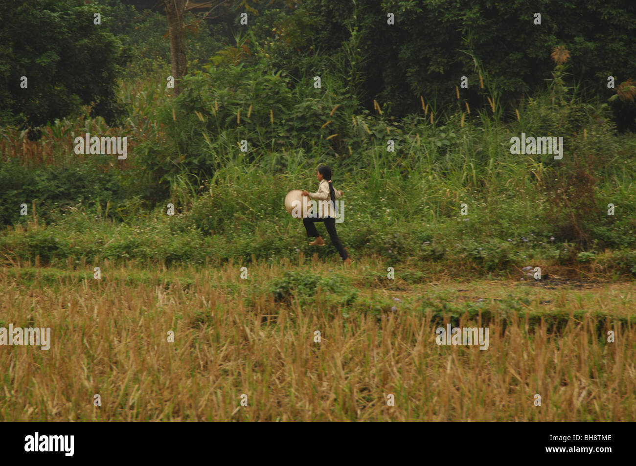 girl running through rice fields , road to coc ly , northwest Vietnam ...