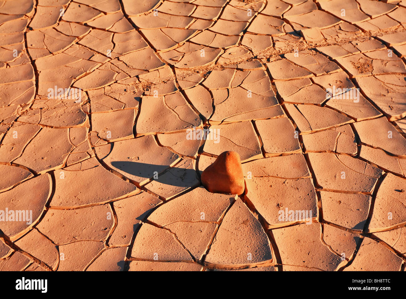 The cracked dry ground in desert of National park Dead Walley Stock ...