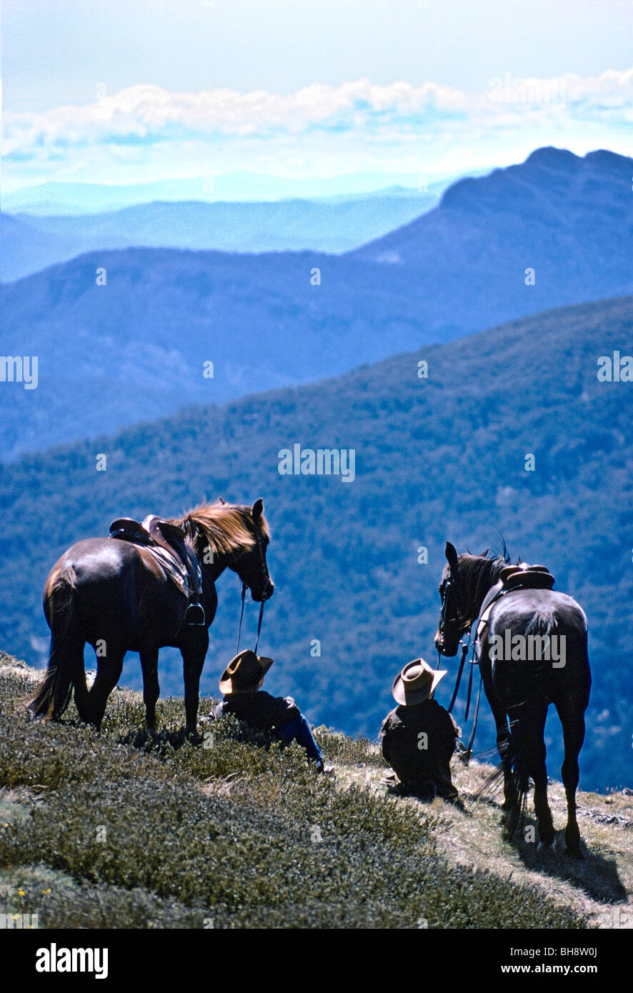 Riding horse from behind hi-res stock photography and images - Alamy