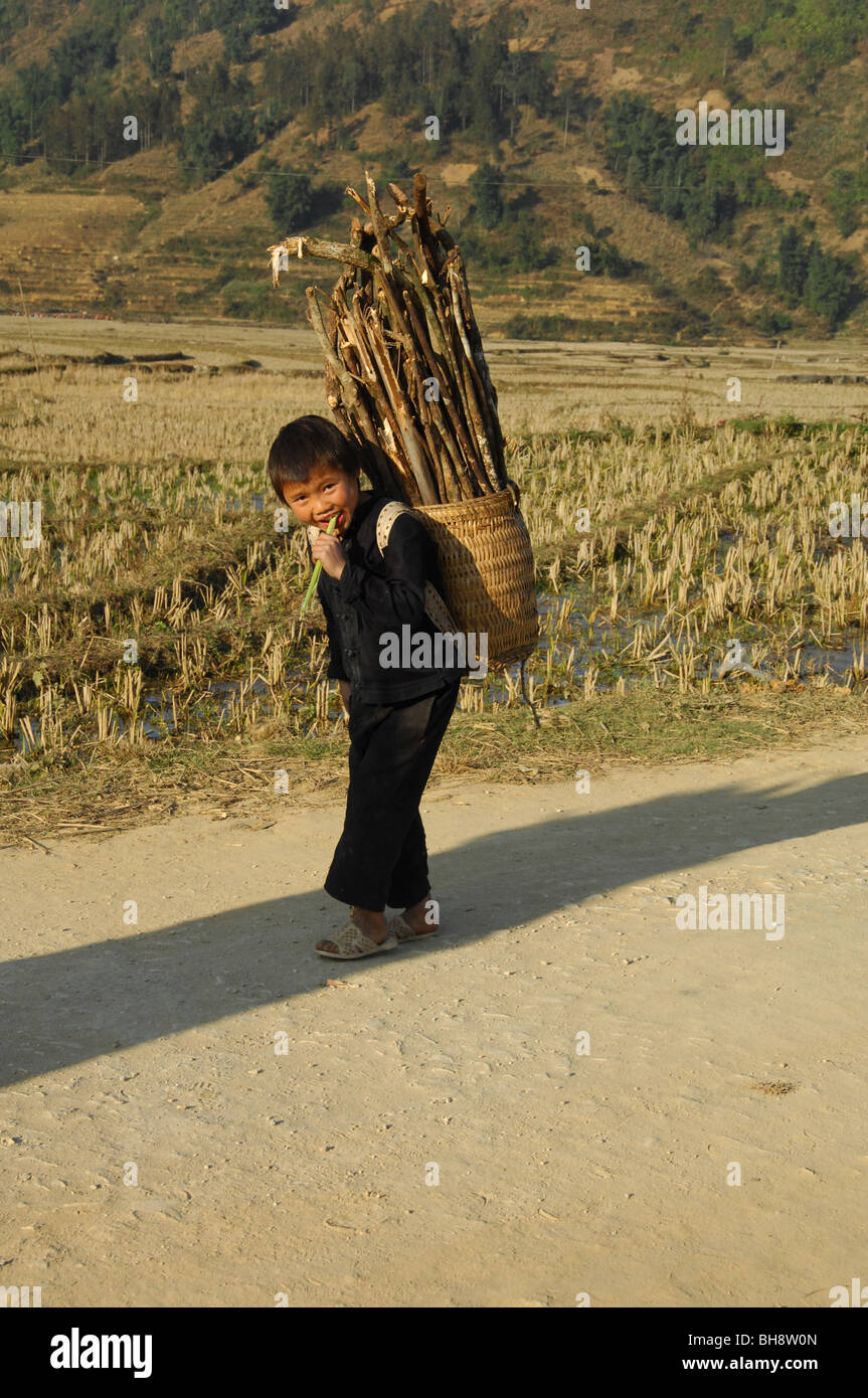 black hmong boy carrying firewood , ta phin , near sapa , north west ...