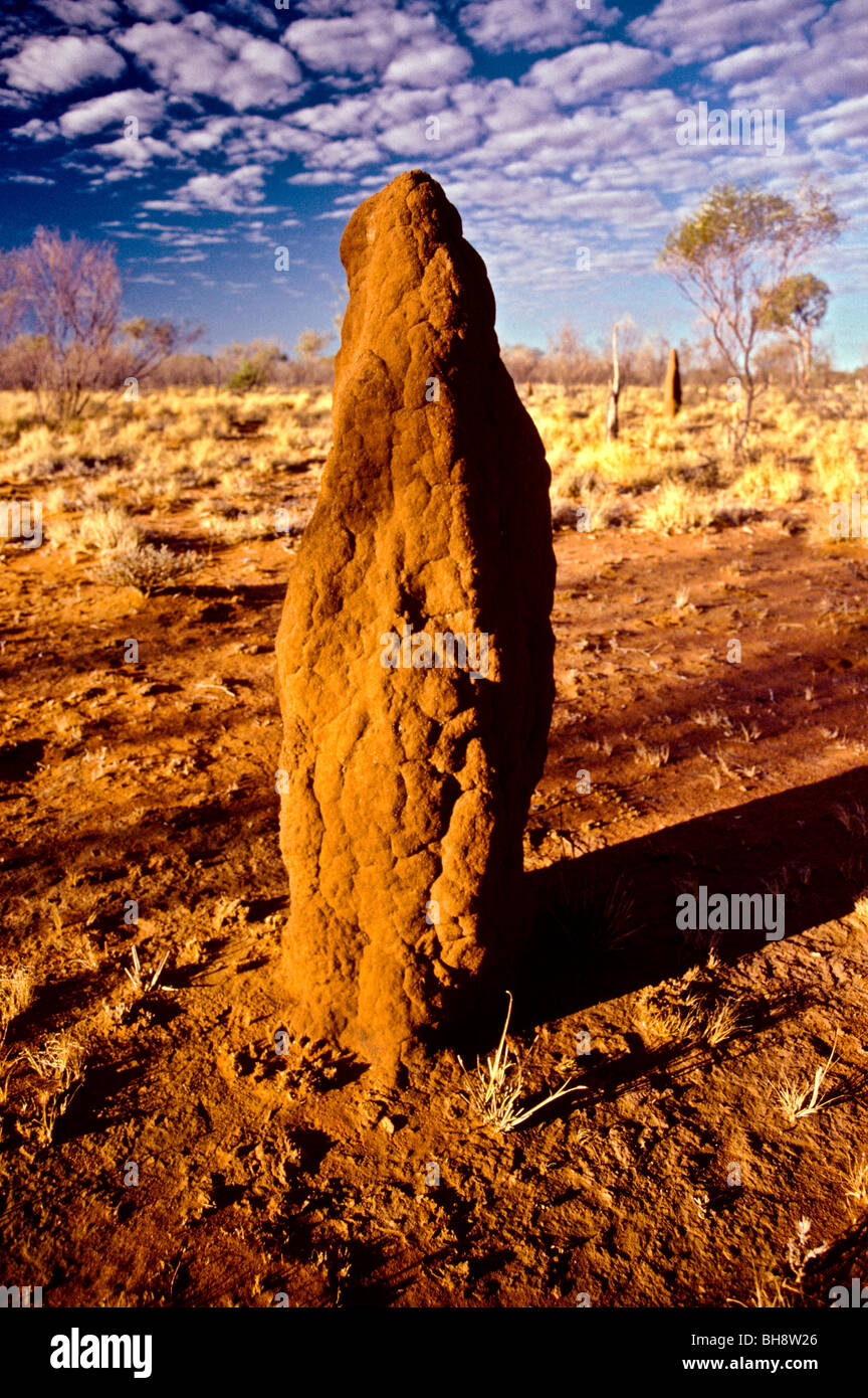 Termite tower hi-res stock photography and images - Alamy