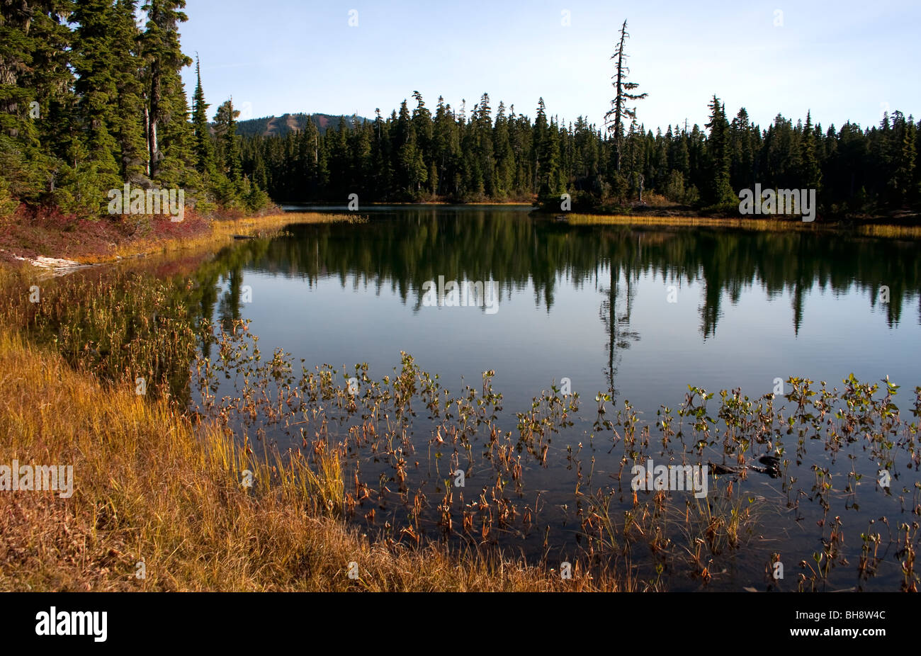 Battleship Lake at the Forbidden Plateau Strathcona Park Vancouver ...