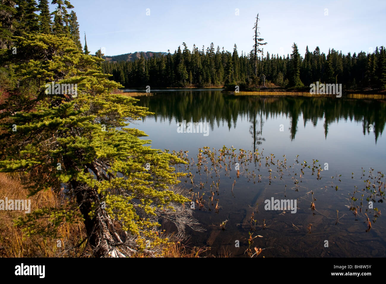 Battleship Lake at the Forbidden Plateau Strathcona Park Vancouver ...