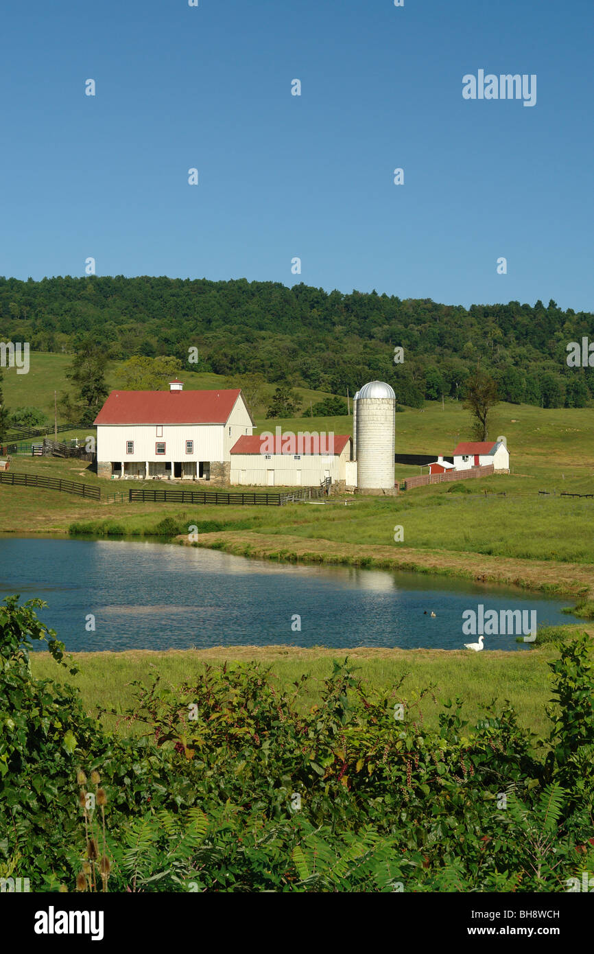 AJD64000, Delaplane, VA, Virginia, Shenandoah Valley, Sky Meadows ...