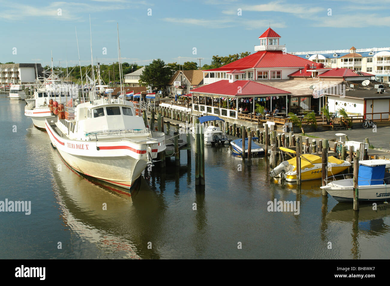 Whale watching excursions hi-res stock photography and images - Alamy