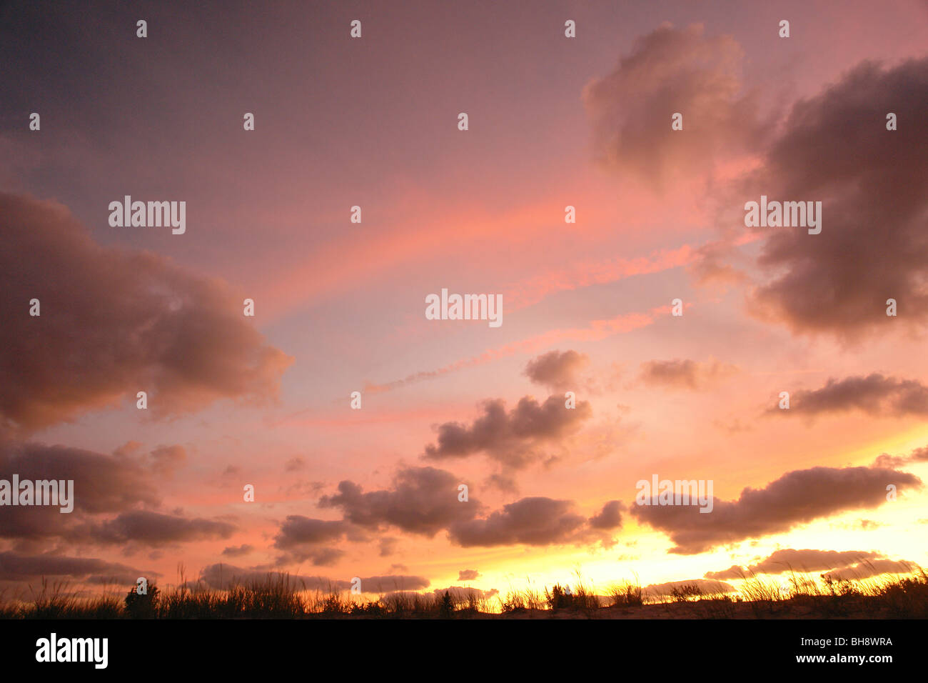 AJD64079, Rehoboth Beach, DE, Delaware, Delaware Seashore State Park ...
