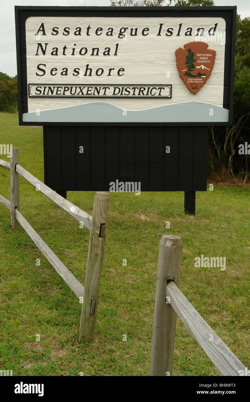 AJD64083, Assateague Island National Seashore, MD, Maryland, Sinepuxent ...