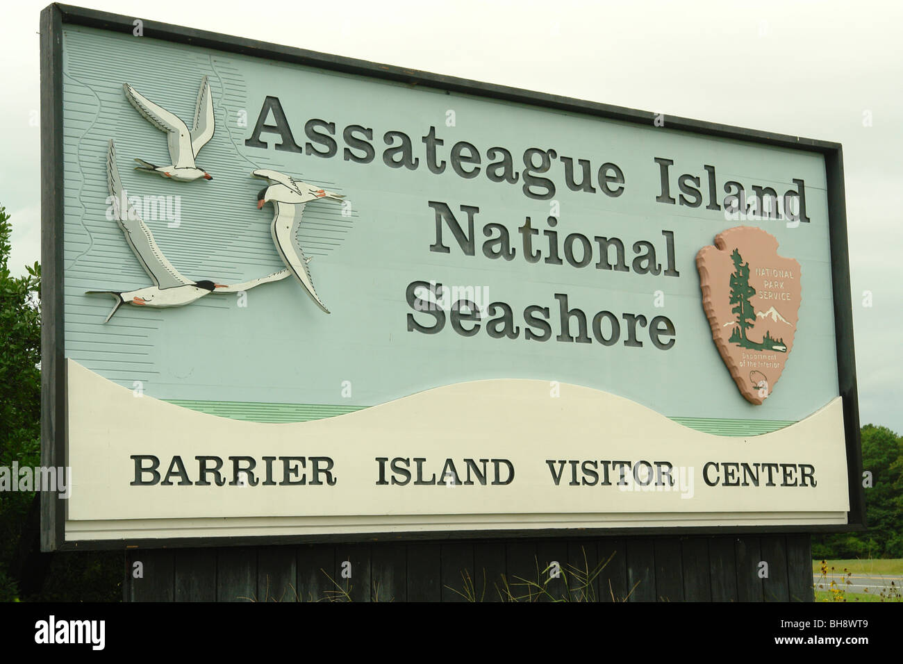 AJD64085, Assateague Island National Seashore, MD, Maryland, Barrier ...