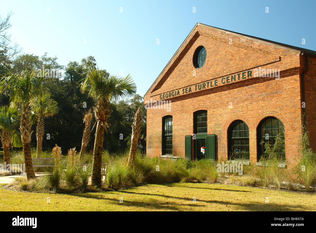 AJD64670, Jekyll Island, GA, Georgia, Golden Isles, Georgia Sea Turtle ...