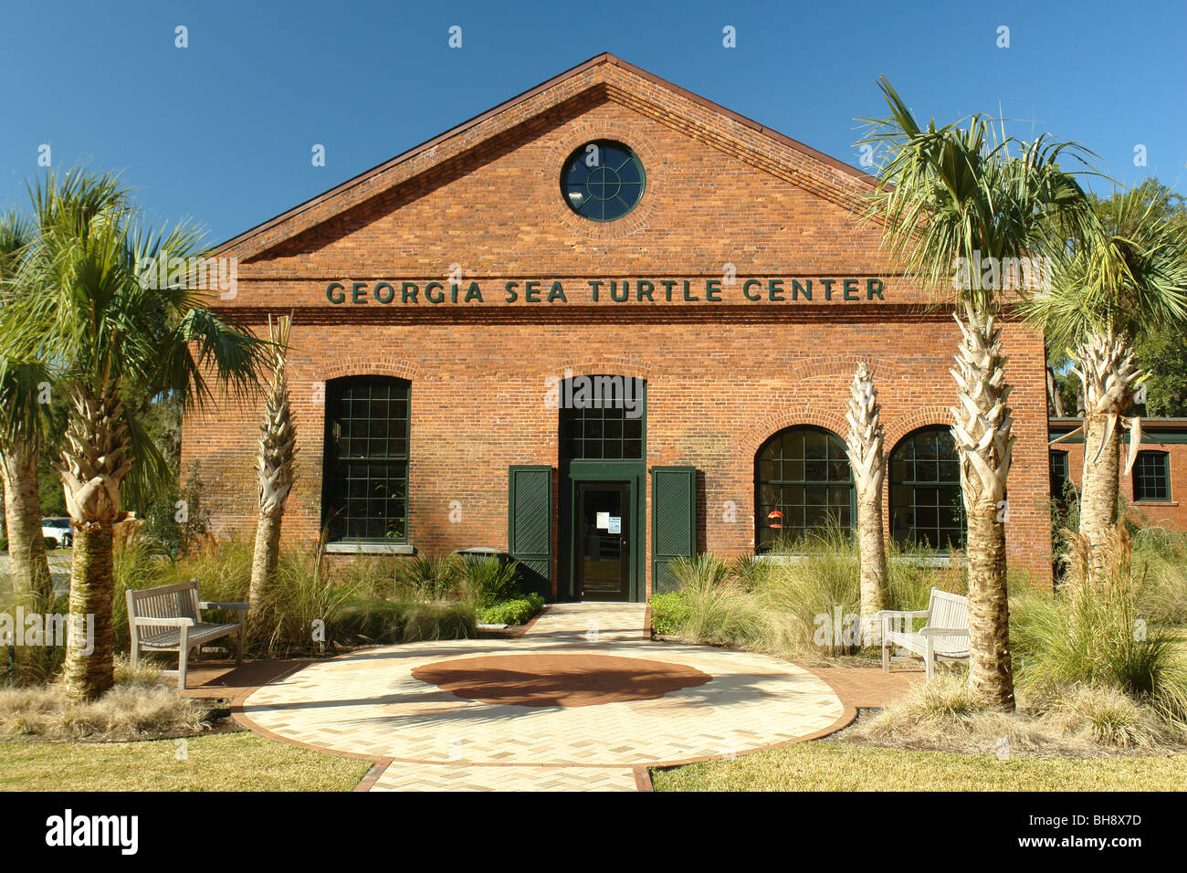 Georgia sea turtle center hi-res stock photography and images - Alamy
