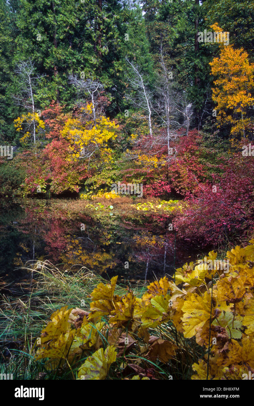 Season ticket train bus hi-res stock photography and images - Alamy