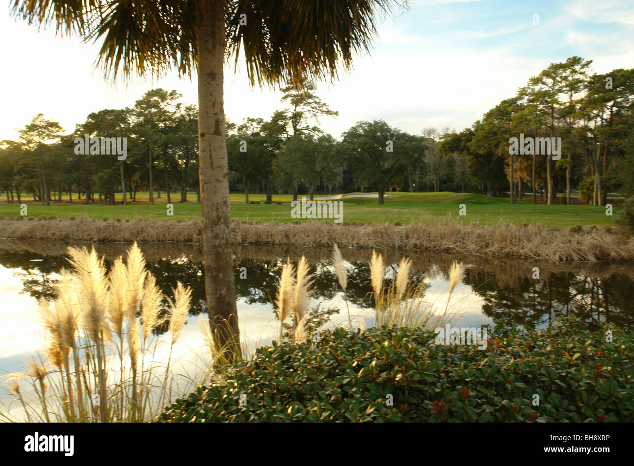 Hilton head golf ocean hi-res stock photography and images - Alamy