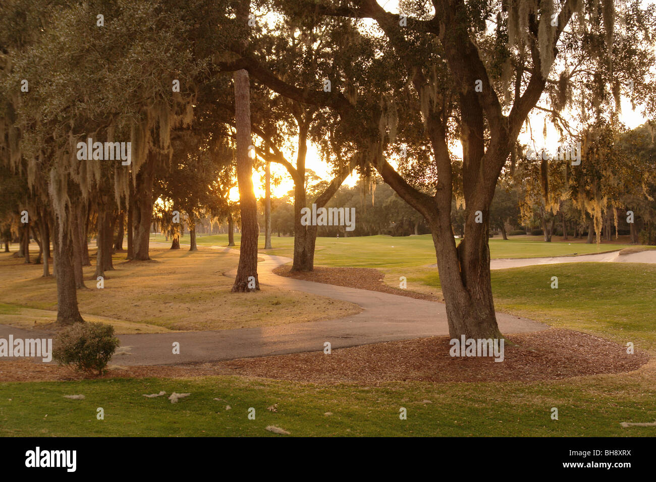 Hilton head golf ocean hi-res stock photography and images - Alamy