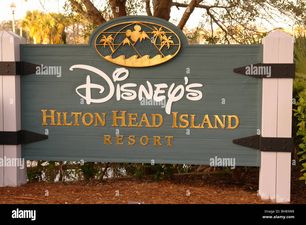 Disney hilton head hi-res stock photography and images - Alamy
