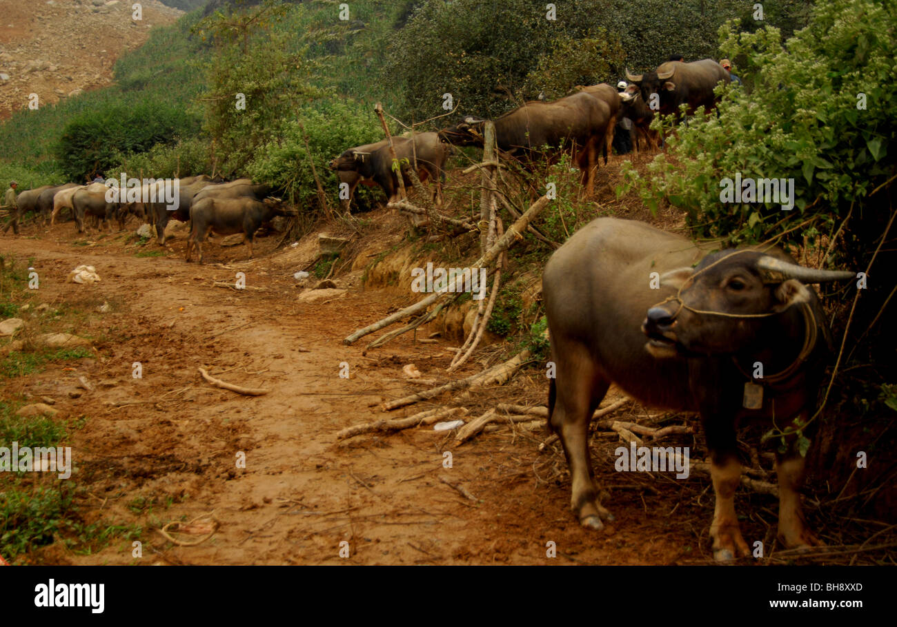 Nung river hi-res stock photography and images - Alamy