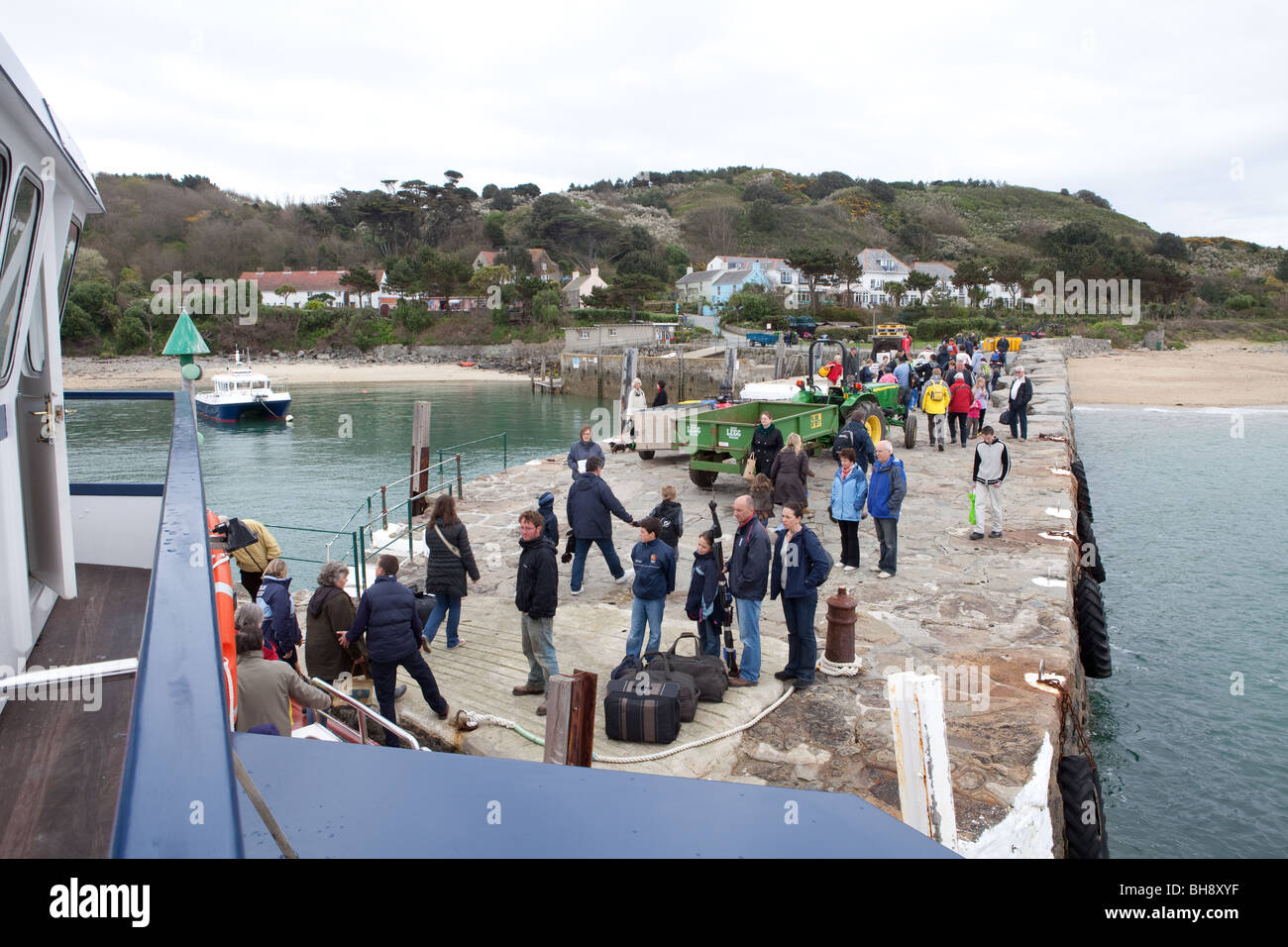 Hern channel islands hi-res stock photography and images - Alamy