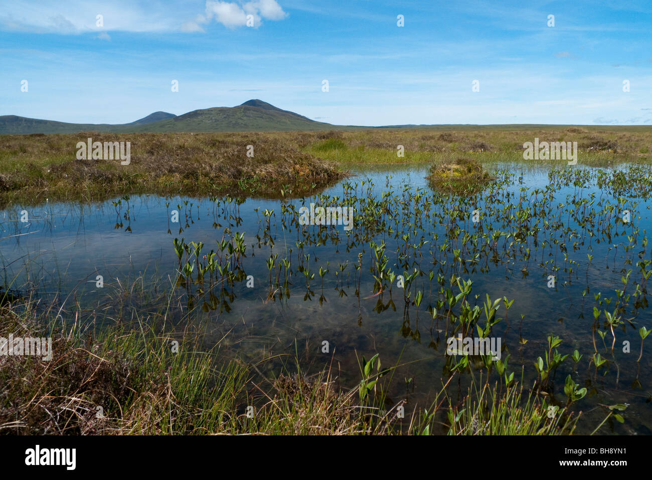 Flow Country, Forsinard Stock Photo - Alamy