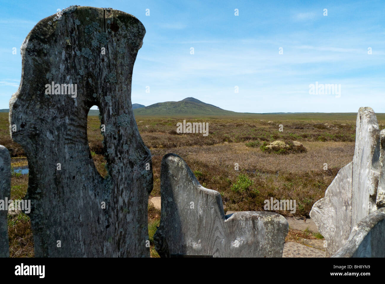Flow country at Forsinard Stock Photo - Alamy