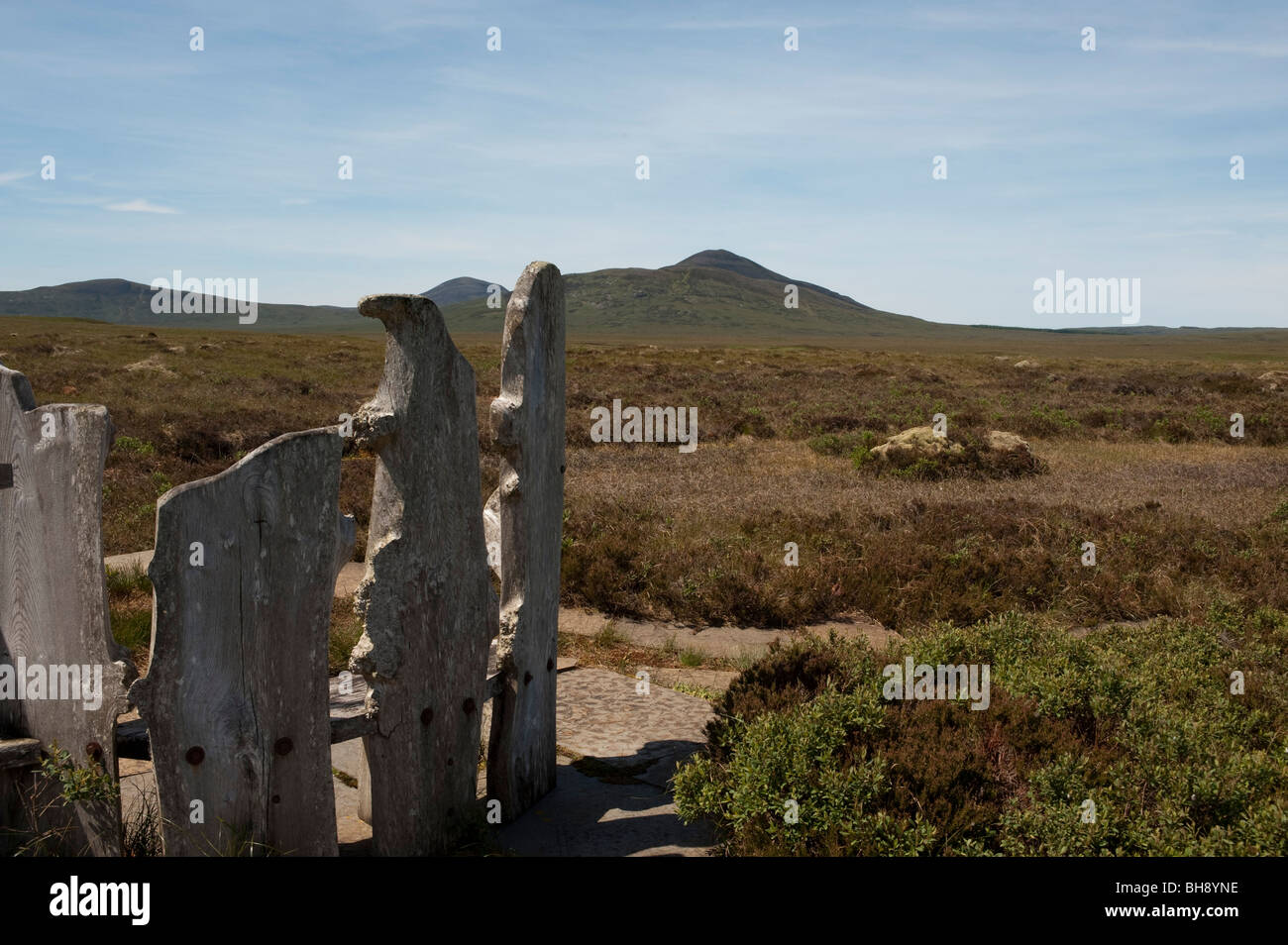 Flow country at Forsinard Stock Photo - Alamy