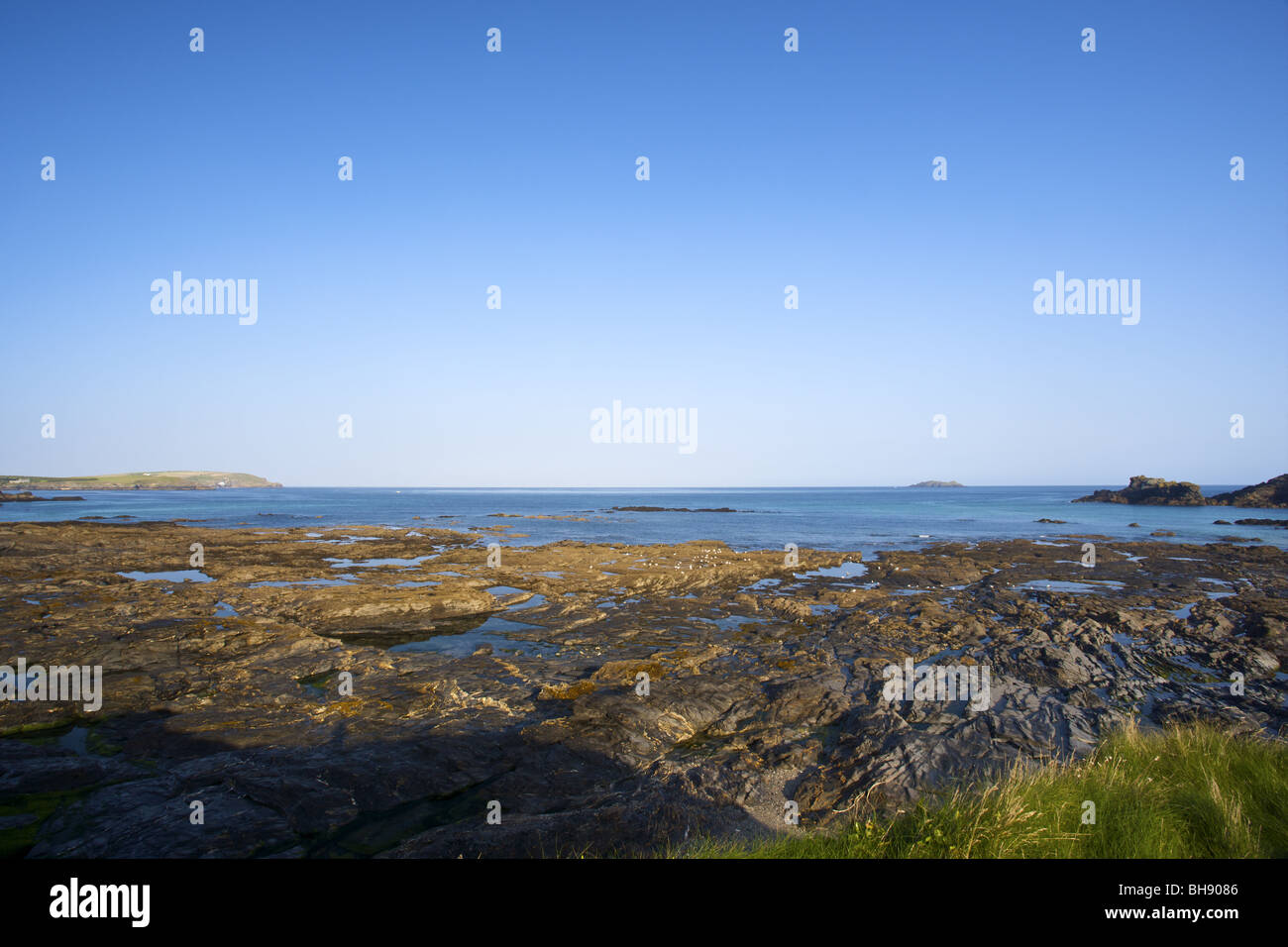 Gulland rock hi-res stock photography and images - Alamy