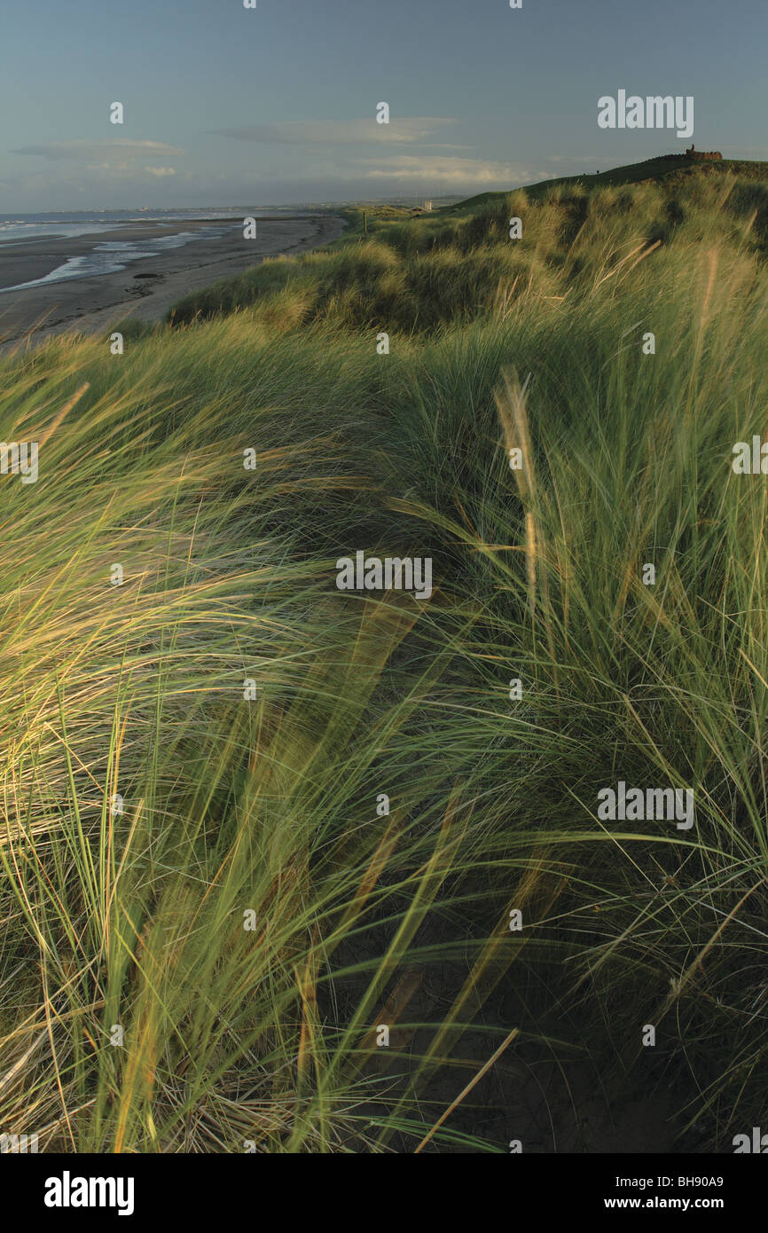 Dunes at Irvine Beach Ayrshire Scotland Stock Photo - Alamy