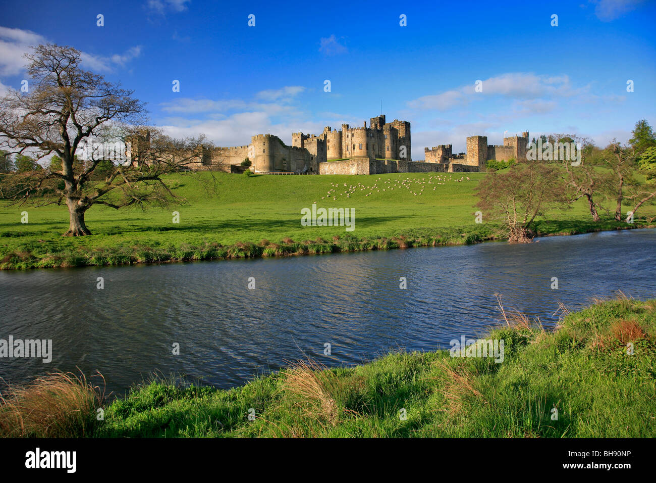 Visit alnwick hi-res stock photography and images - Alamy