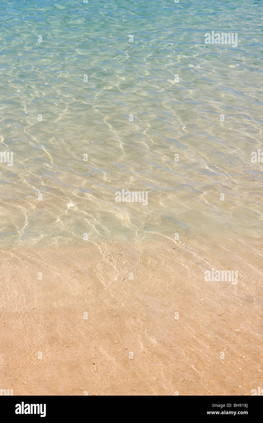 Caribbean waters edge and beach Stock Photo - Alamy