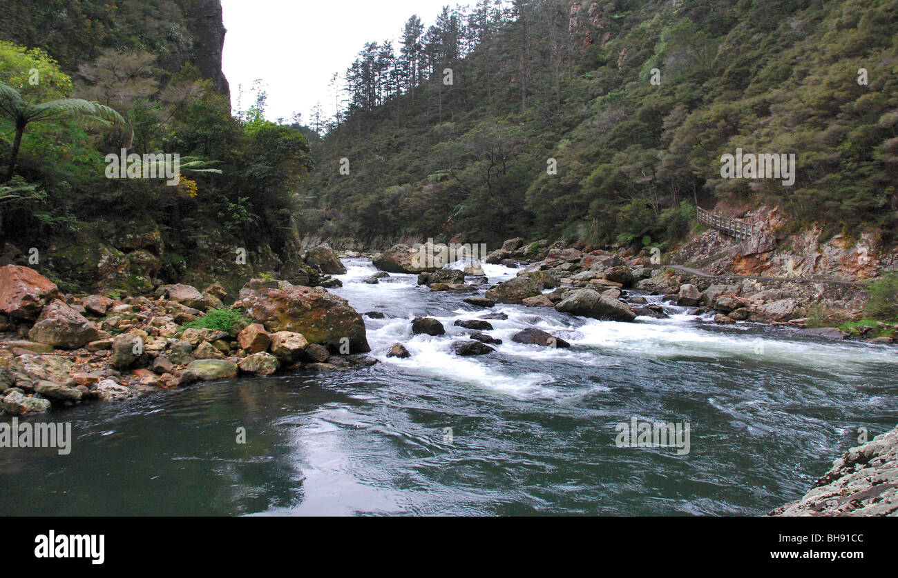 Karangahake Gorge on State Highway 2 between the towns of Paeroa and ...