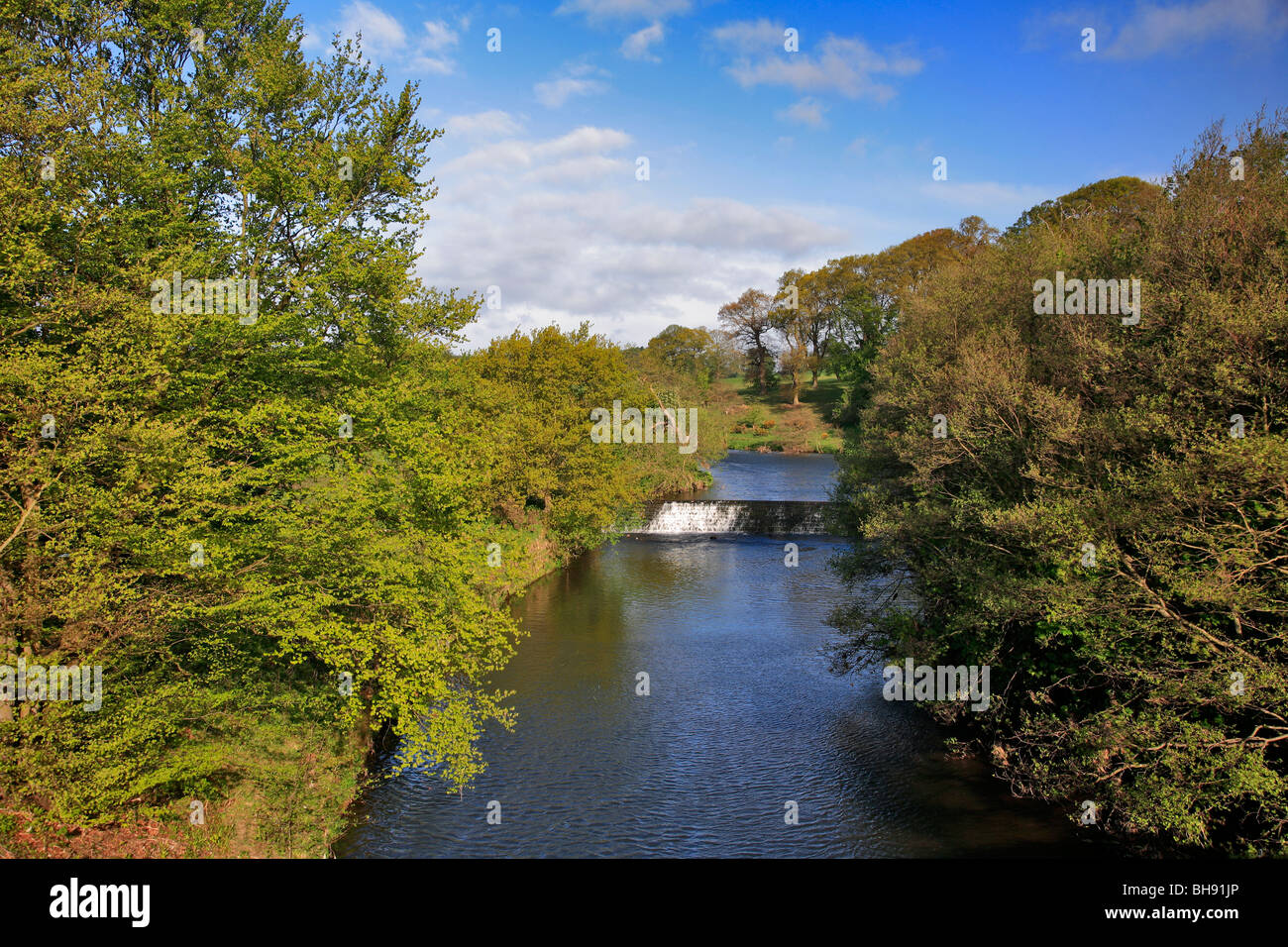 Springtime River Aln Alnwick Town Northumbria England UK Stock Photo ...