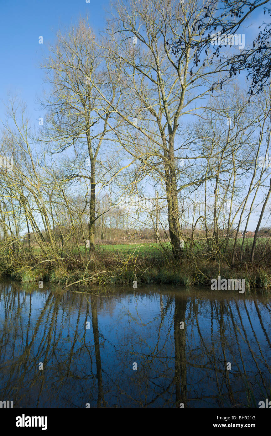a river in winter - the river arrow country park redditch ...
