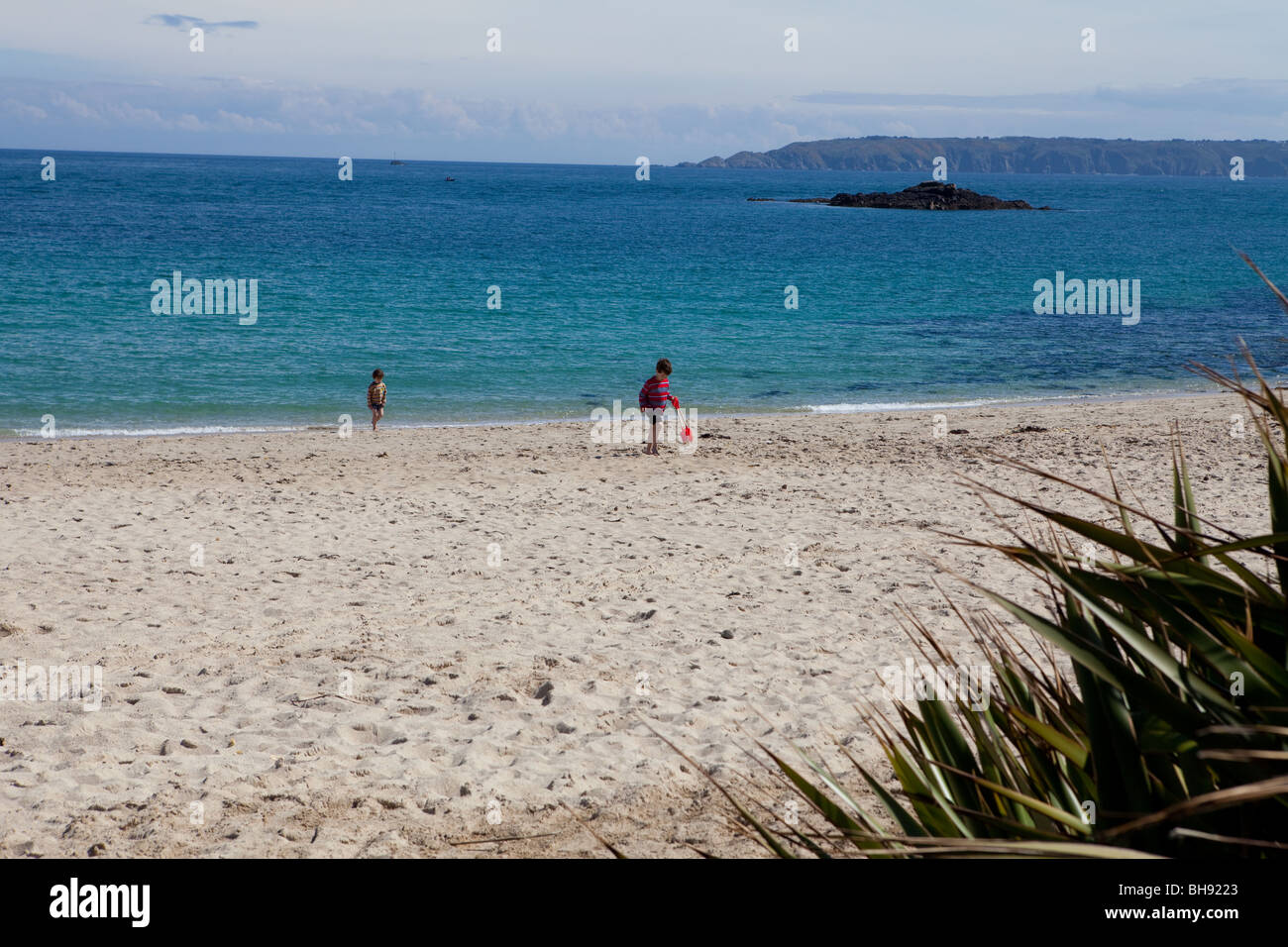 Shell Beach Herm Island Stock Photo - Alamy