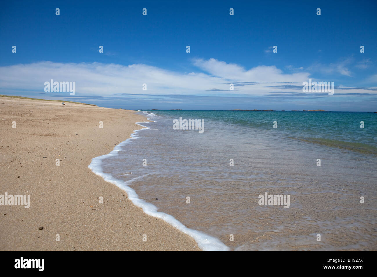 Shell Beach Herm Island Stock Photo - Alamy