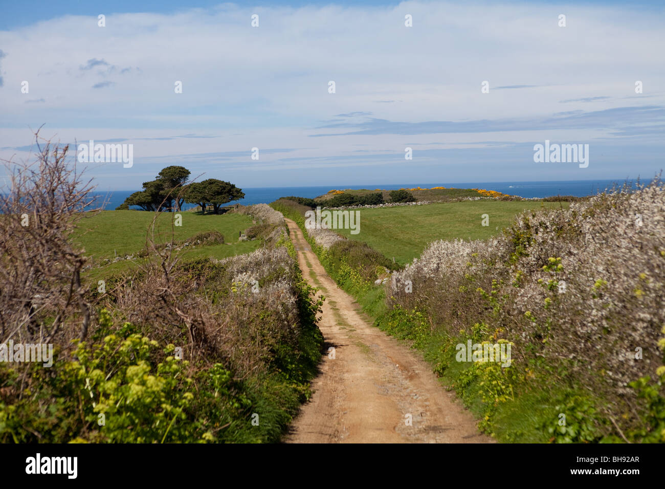Herm channel islands hi-res stock photography and images - Alamy