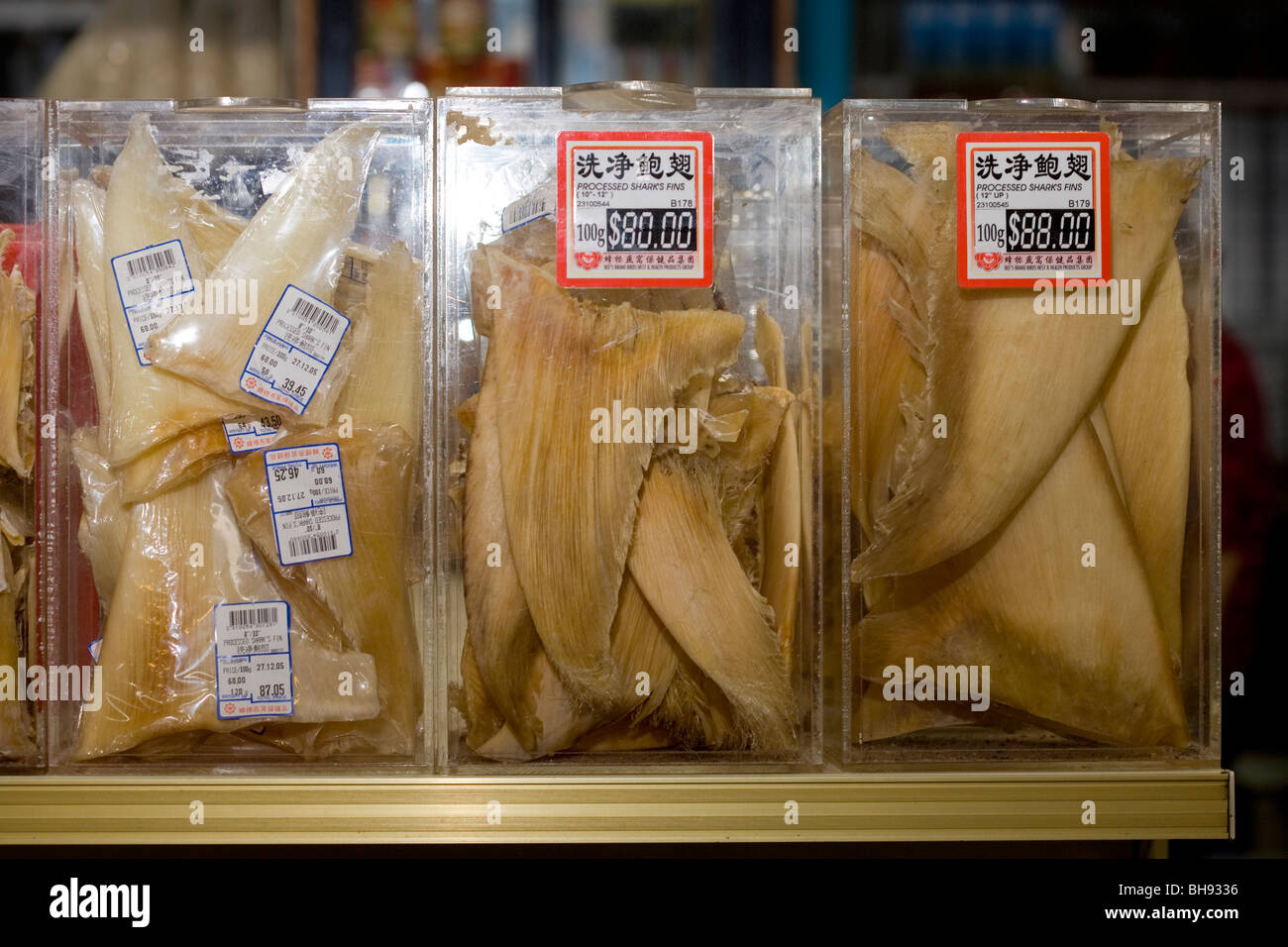 Dried Shark Fins in Store for Sale, Chinatown, Singapore Stock Photo ...
