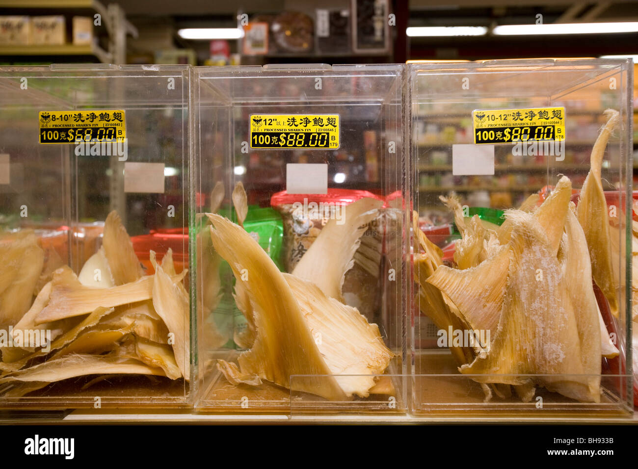 Dried Shark Fins in Store for Sale, Chinatown, Singapore Stock Photo ...