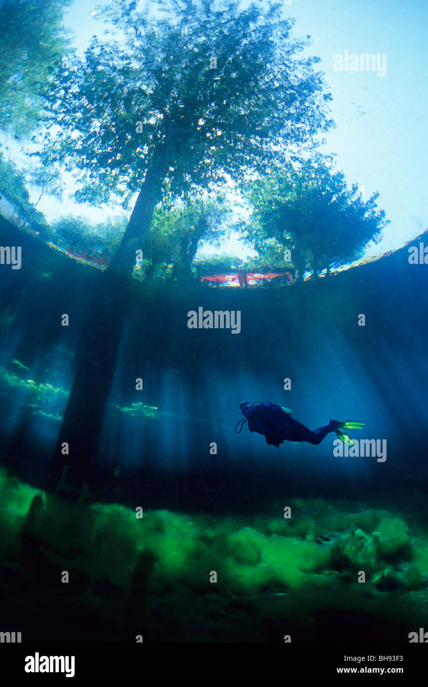 Scuba diving scenery hi-res stock photography and images - Alamy