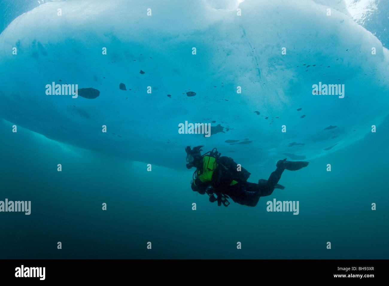 Underwater ice shelf hi-res stock photography and images - Alamy