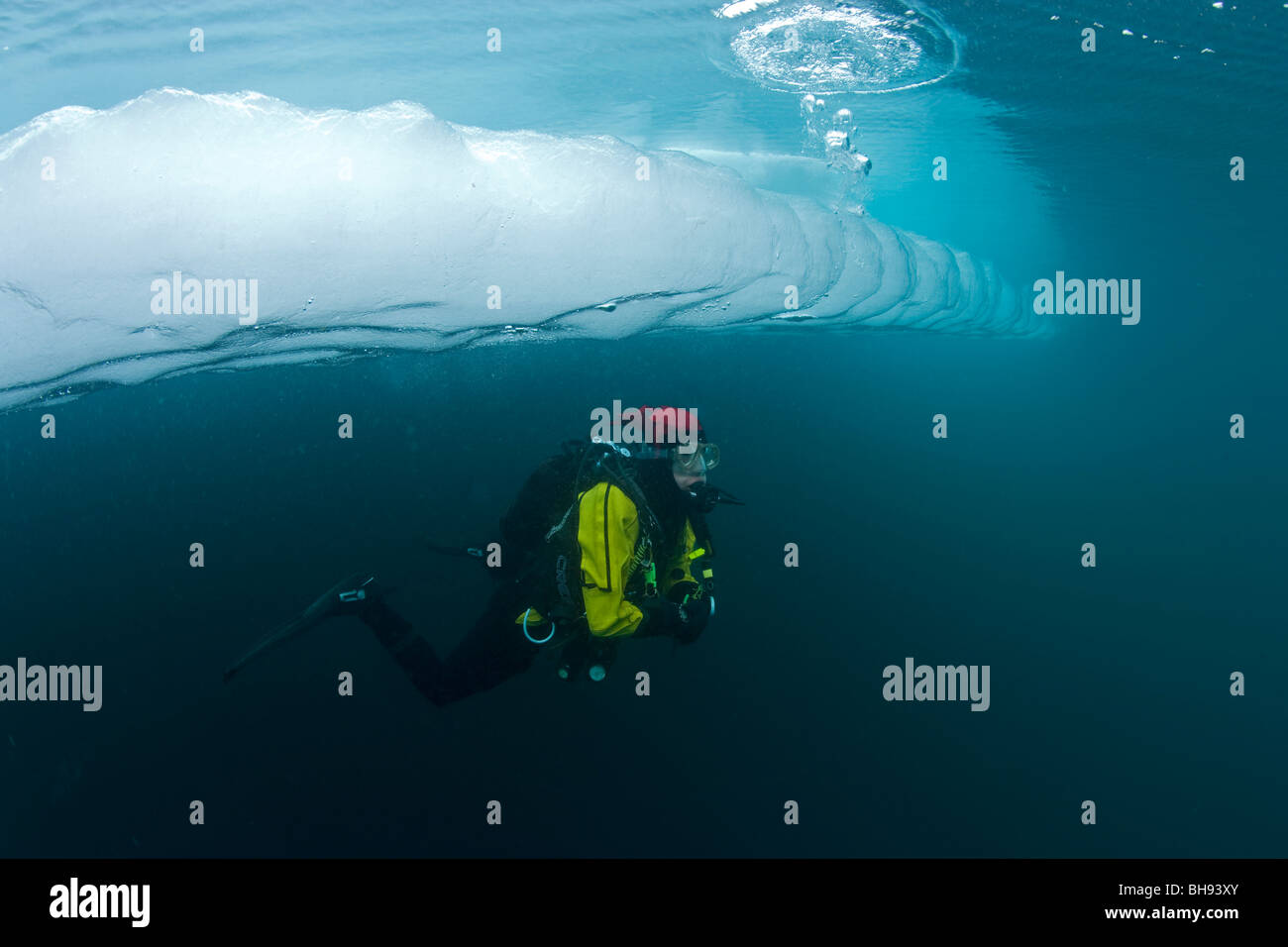 Underwater ice shelf hi-res stock photography and images - Alamy