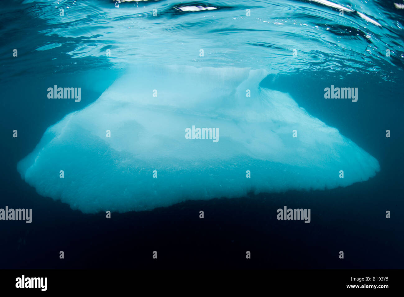 Iceberg underwater hi-res stock photography and images - Alamy