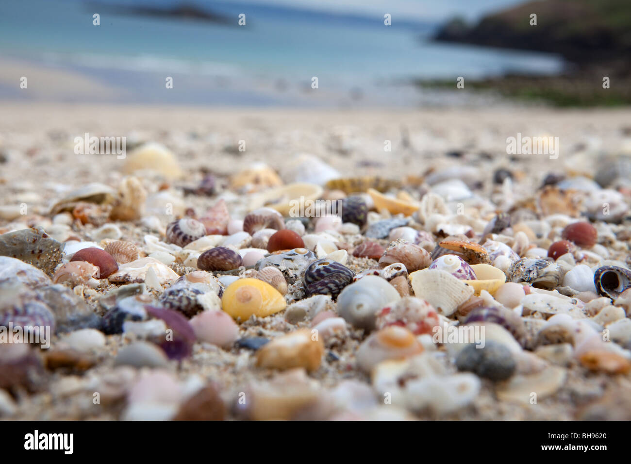 Shell beach Herm Island Stock Photo - Alamy