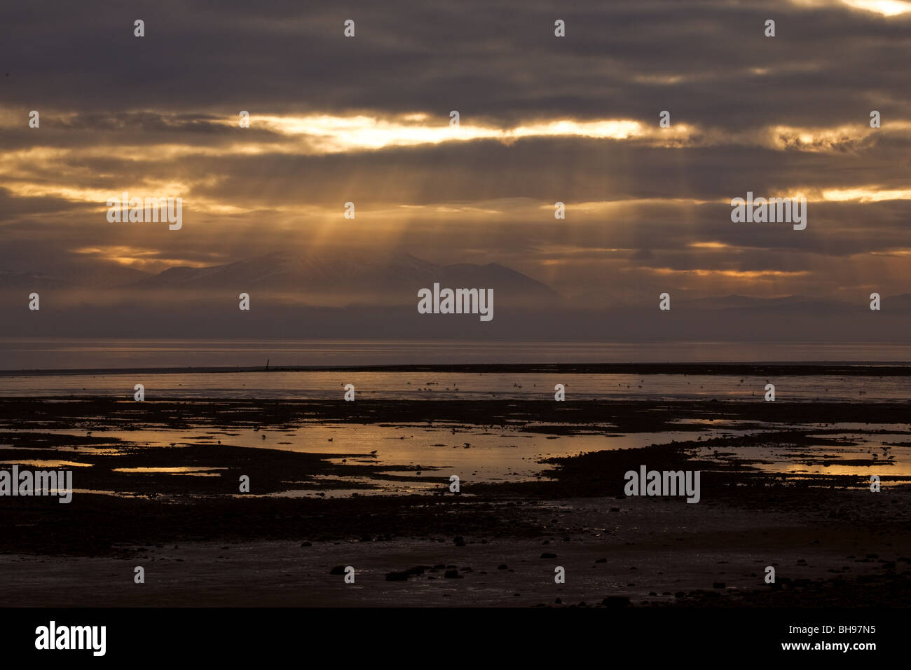 Nith estuary hi-res stock photography and images - Alamy