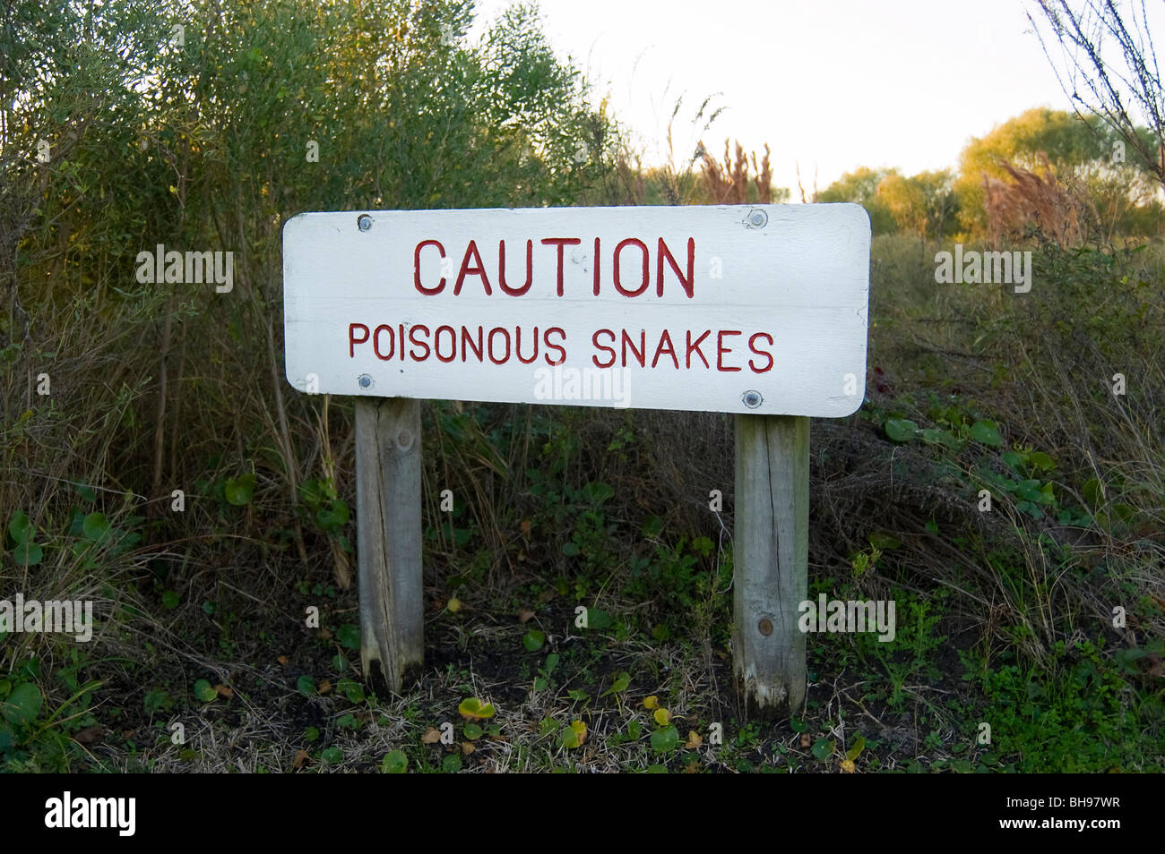 Caution, Poisonous snakes sign on the Bayou near Galveston, Texas Stock ...